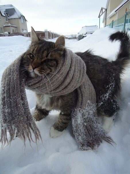 It's a little chilly outside - 9GAG