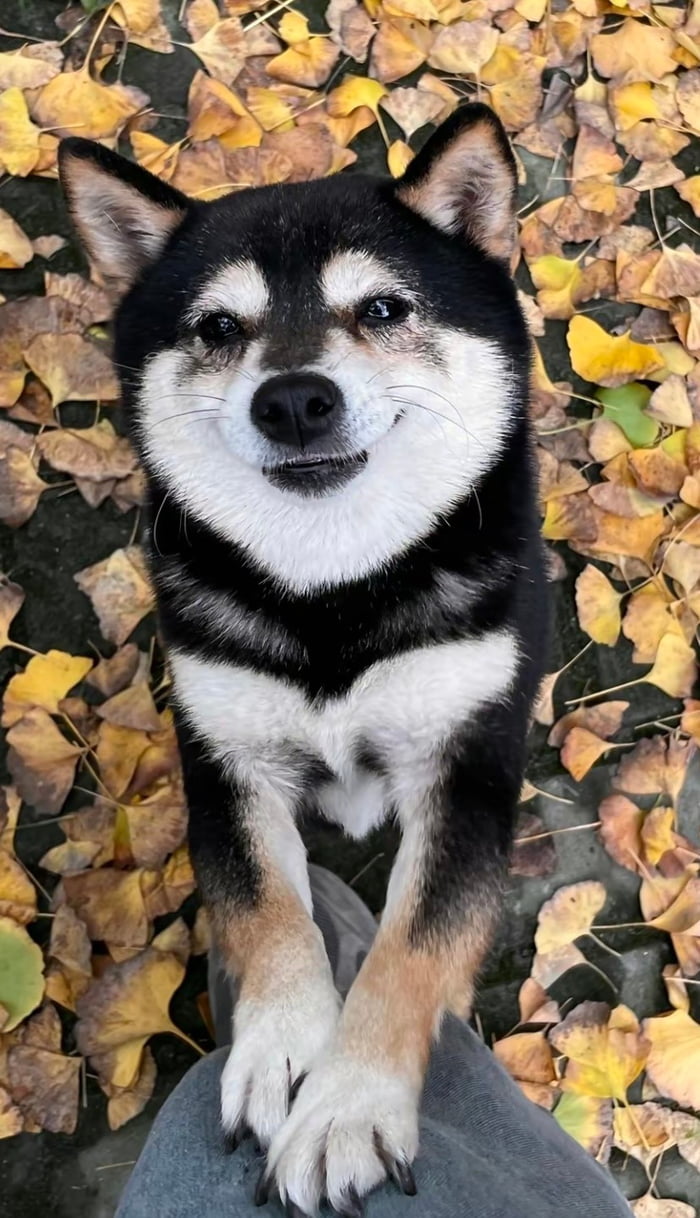 Just seeing him smile makes all the sadness disappear - 9GAG