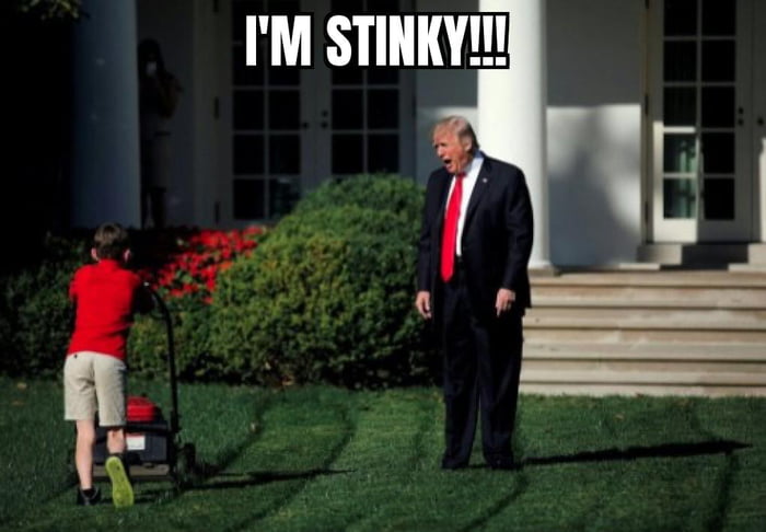 Is he saying he stinks or that he wants to be called Stinky? - 9GAG