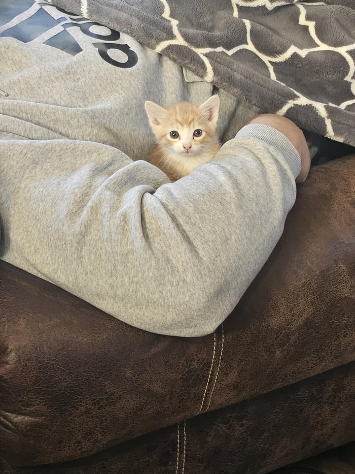 Smol criminal - 9GAG