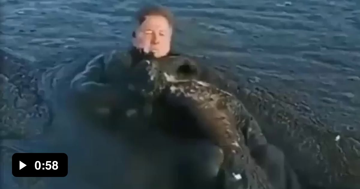 A man saving a bird of prey from a lake of mud. - 9GAG