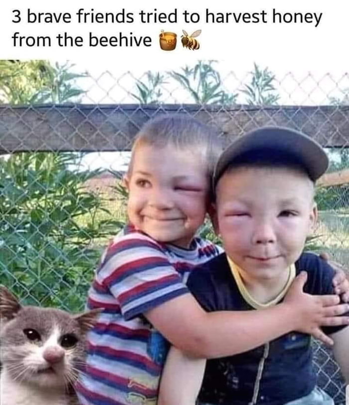 Poor kids , but the cat is funny :D - 9GAG