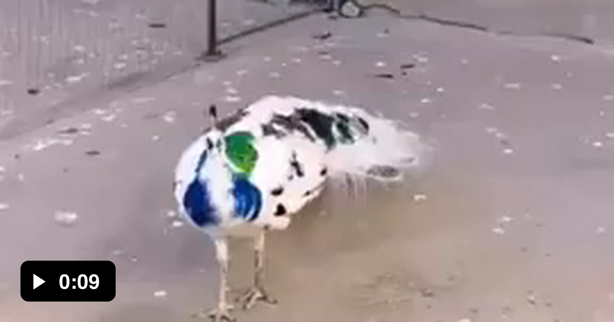 Soooo beautiful - 9GAG