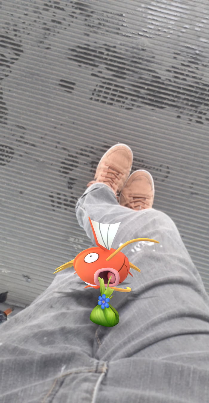 Dammit Magikarp - 9GAG