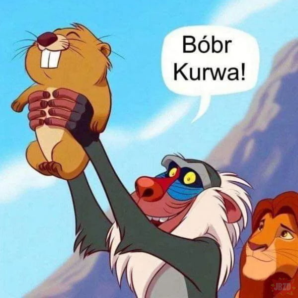 Bóbr Kurwa! - 9GAG