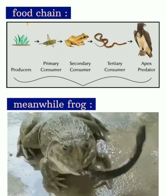 The ultimate Reverse Uno card.. - 9GAG