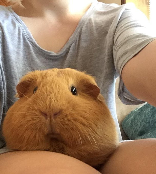 That's a nice coconut 🥥 - 9GAG