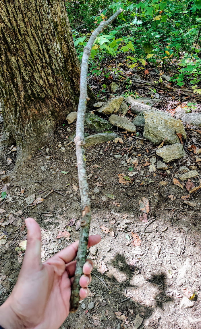 Rate my stick! - 9GAG