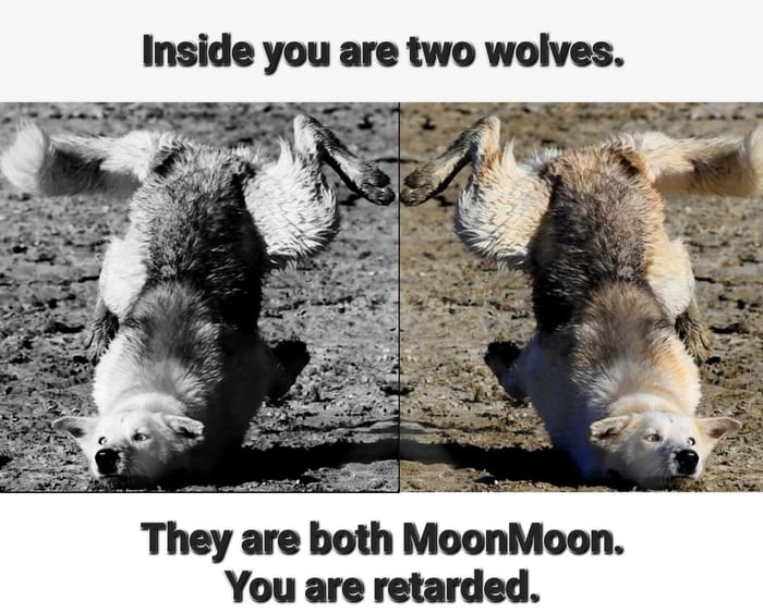Be the wolf that is in you - 9GAG