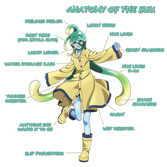 Anatomy of a Suu ( Monster Masume) - 9GAG
