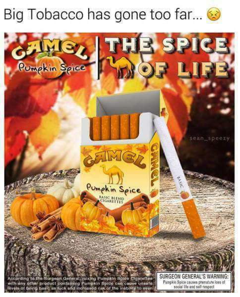 The spice must flow... - 9GAG