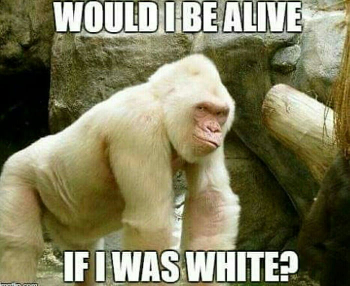 We need answers - 9GAG