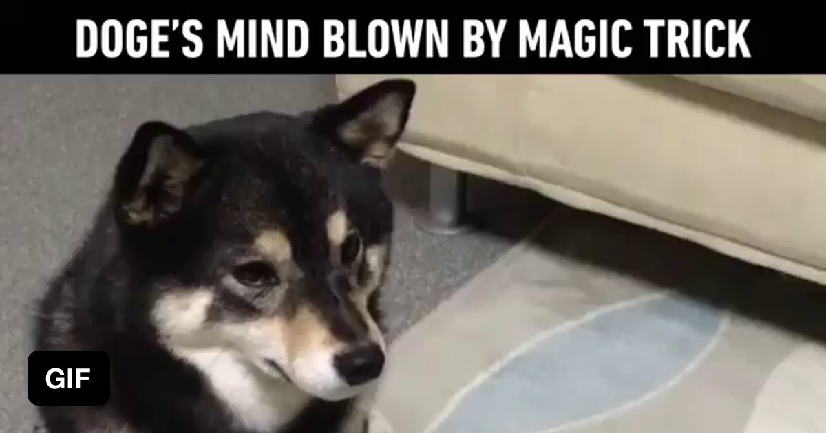 Wow, Much magic, Very confused - 9GAG