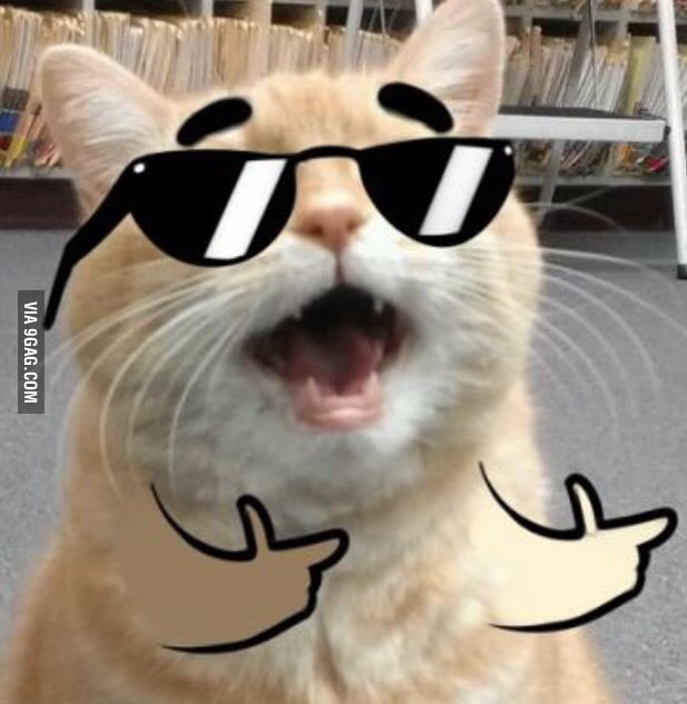 When your cat meows at you and you meow back the right answer. - 9GAG