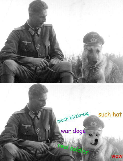 Doge in wartimes - 9GAG