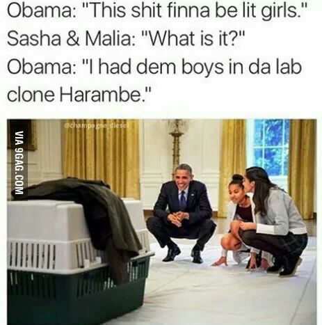 Finna be lit af fam - 9GAG