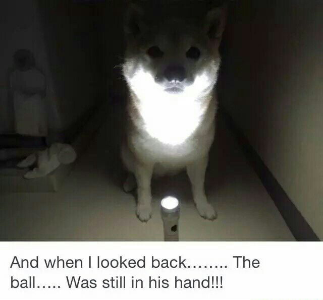 Doge horror stories - 9GAG