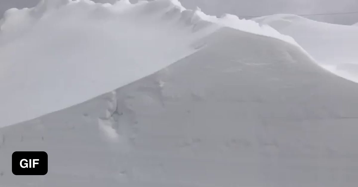A bit of spring snow in Gander Newfoundland - 9GAG
