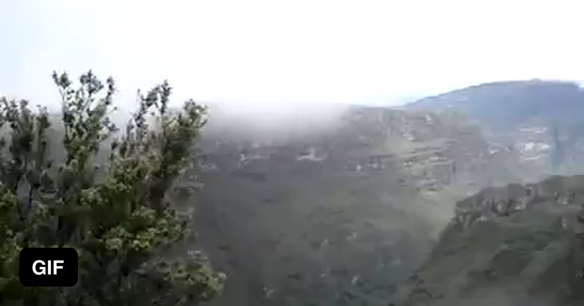 The Nature never stop to amaze and scare me. - 9GAG