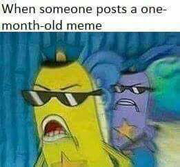 Meme's police... FREEZE! - 9GAG