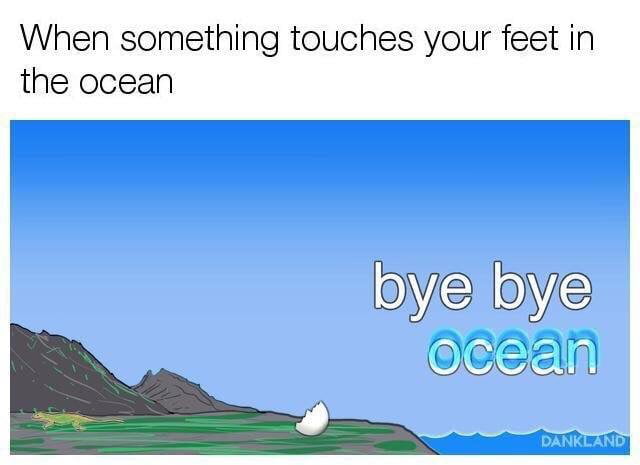 Bye bye ocean - 9GAG
