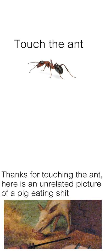 Fire Ants Memes