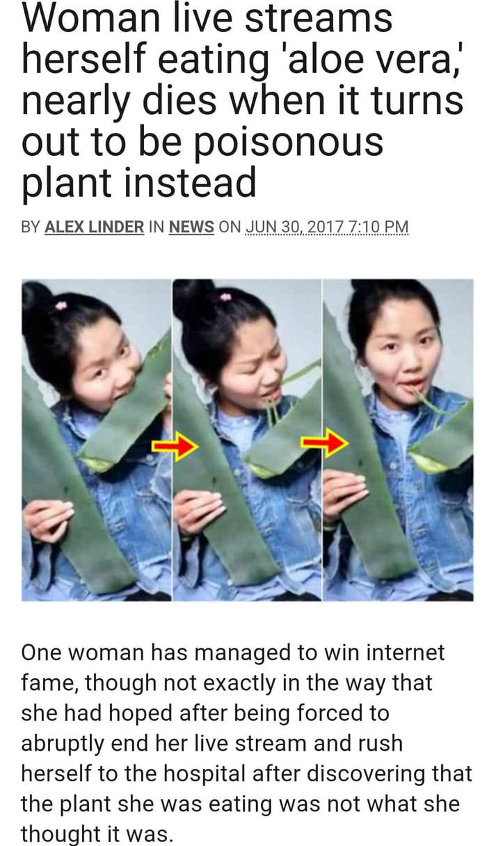 Darwin awards, here I come! - 9GAG