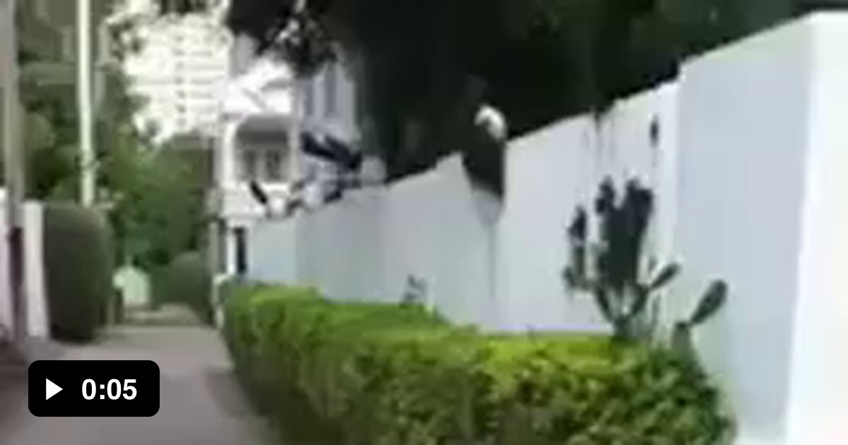 WTF with this matrix dog!! - 9GAG