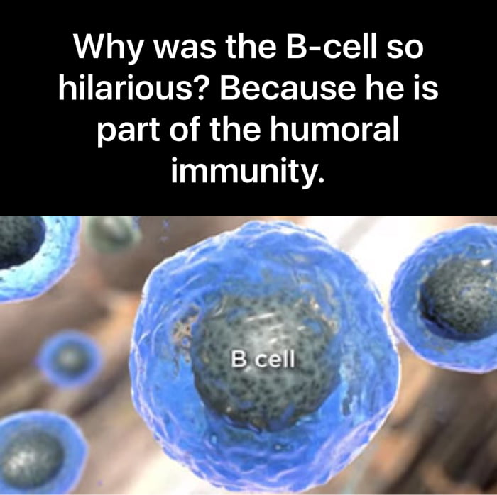 Your immune system is no laughing matter. - 9GAG