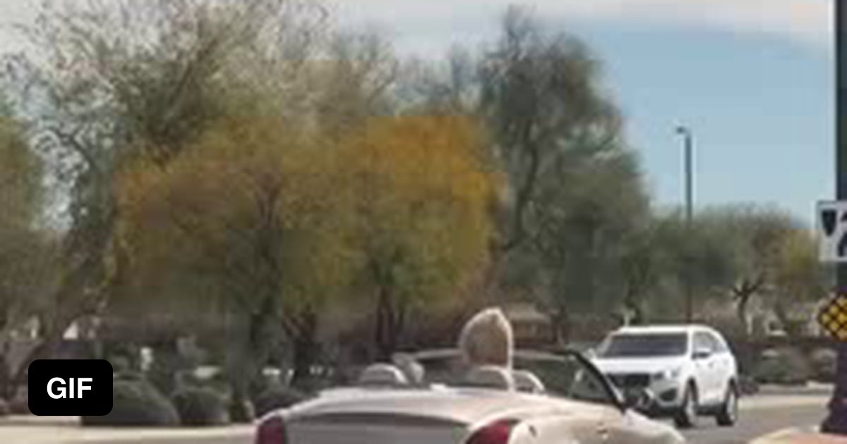 Aerodynamics of a missile as illustrated by a bog - 9GAG