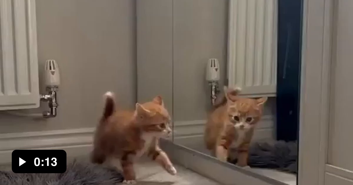 Self reflection - 9GAG