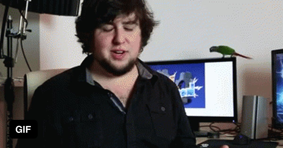 Not all birds can fly - 9GAG