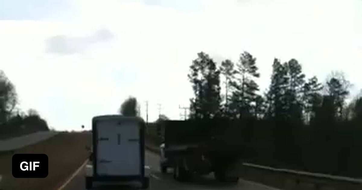Wood through the windshield - 9GAG