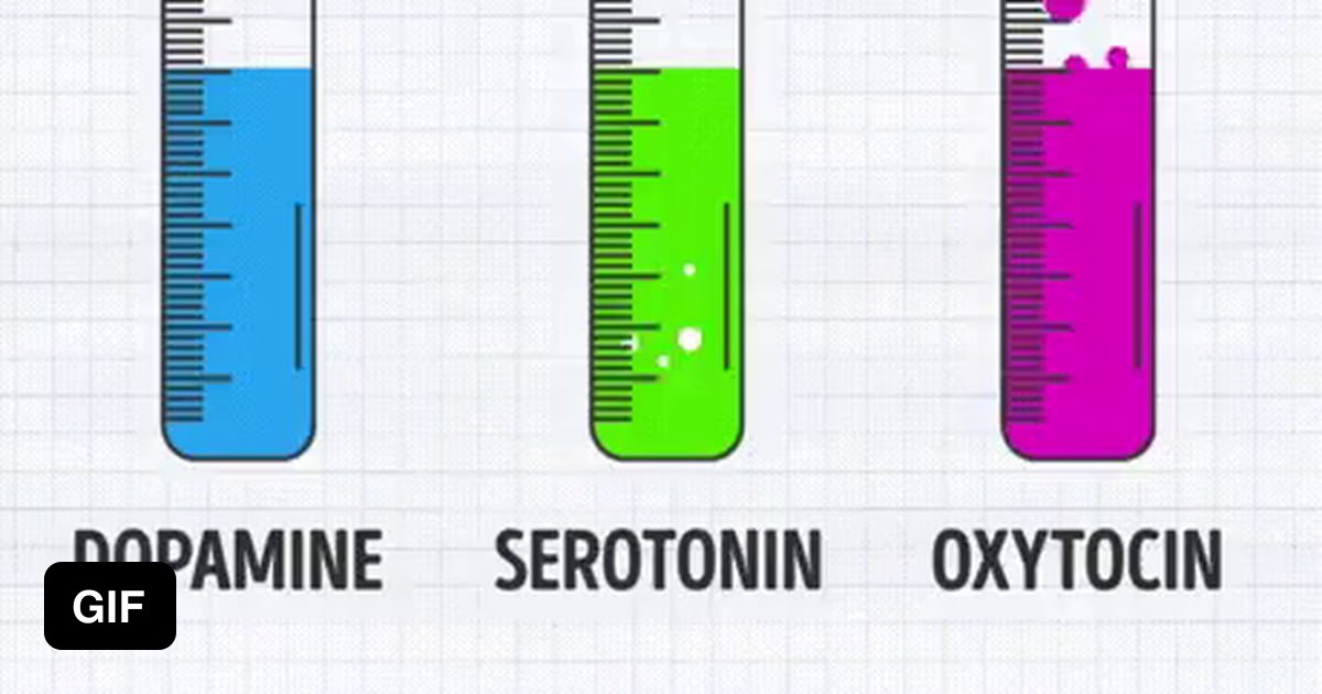 how-our-brain-works-9gag