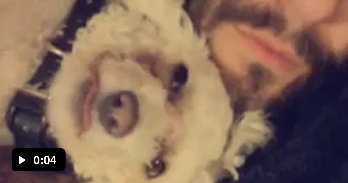 He's so cute ( Frosty ) - 9GAG