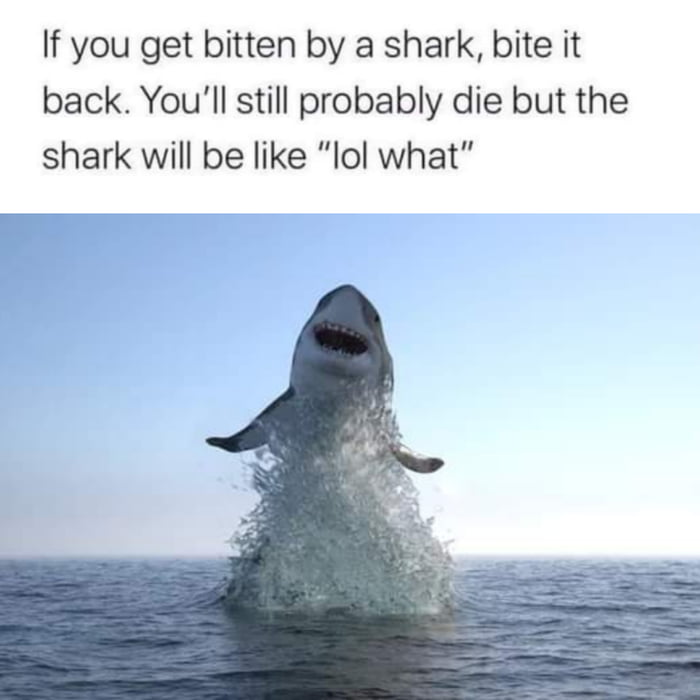 Never let them know your next move - 9GAG