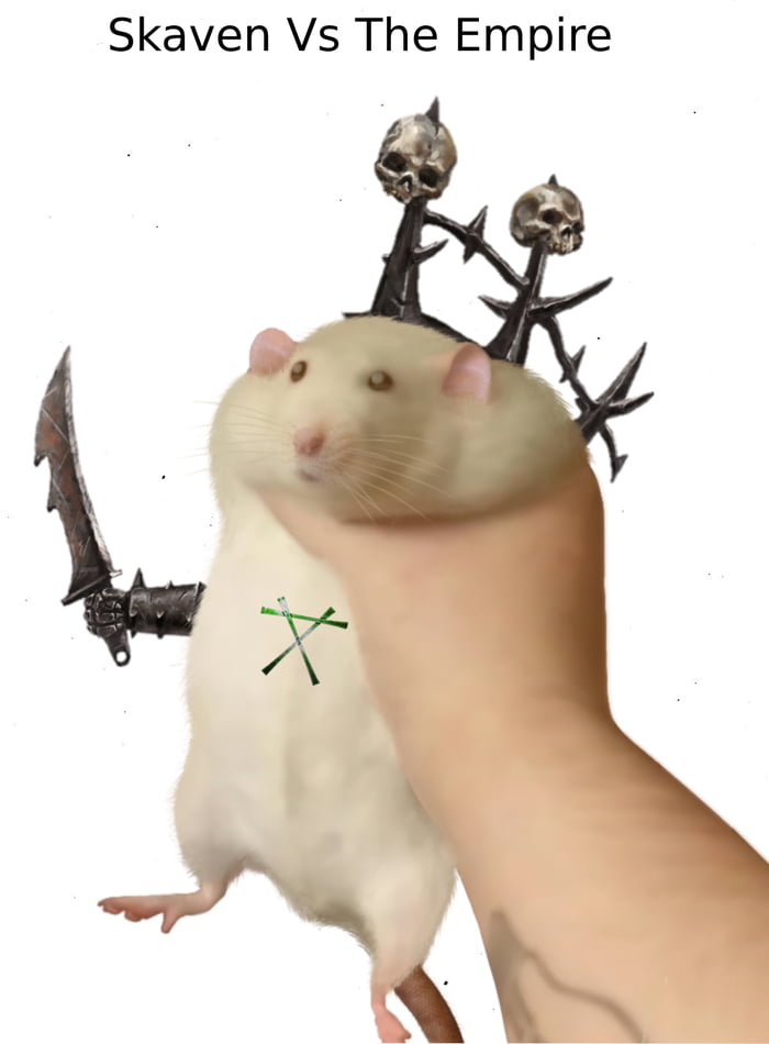Graphic rat vs human - 9GAG