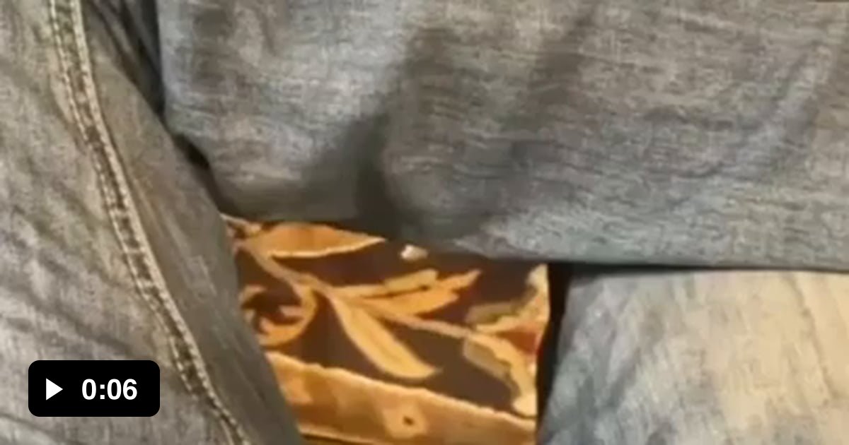 Hooman it's playtime! - 9GAG