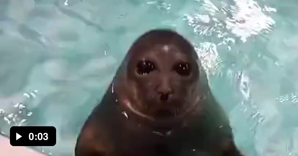 Cursed video - 9GAG