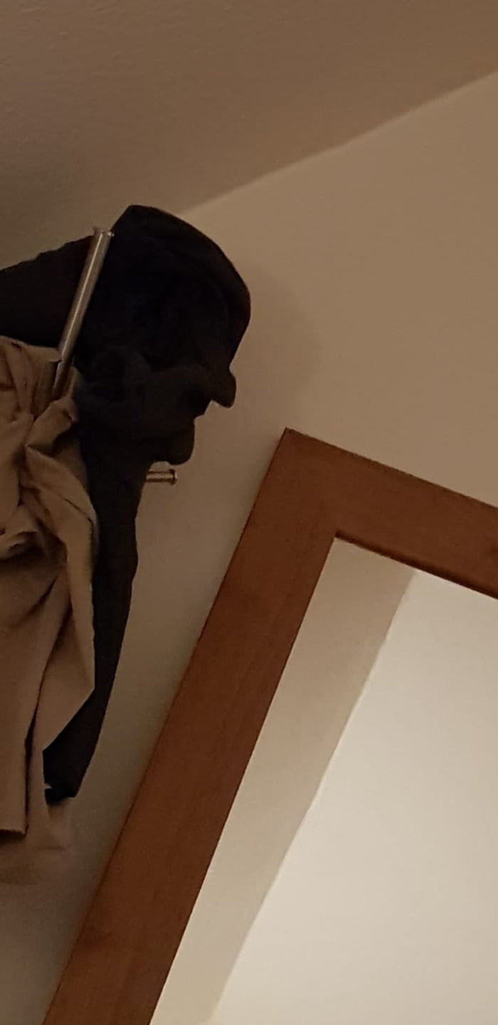 When there's a scary witch haunting the bedroom in the middle of the ...