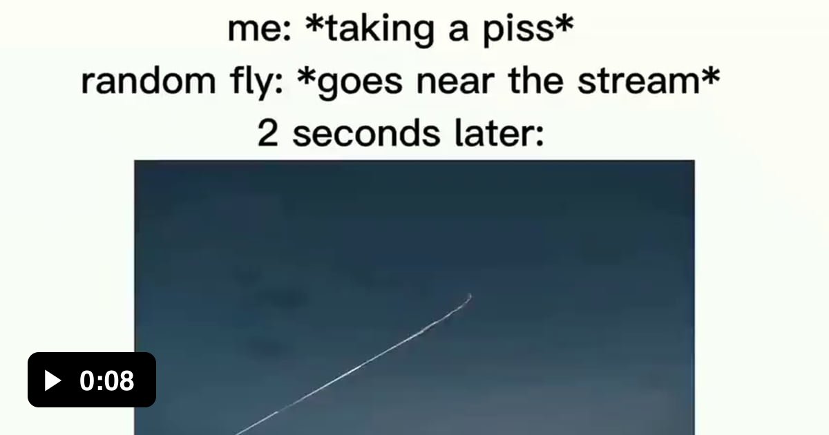 Fly - 9GAG