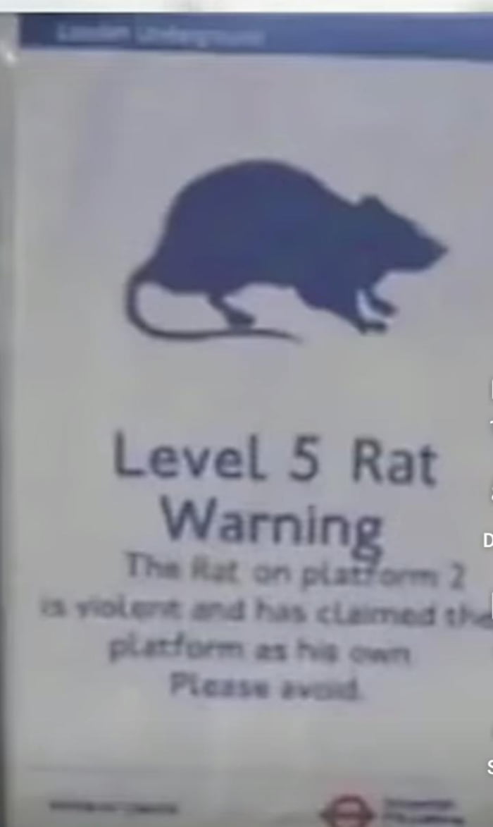 Level 5 Rat keeper of the platform - 9GAG