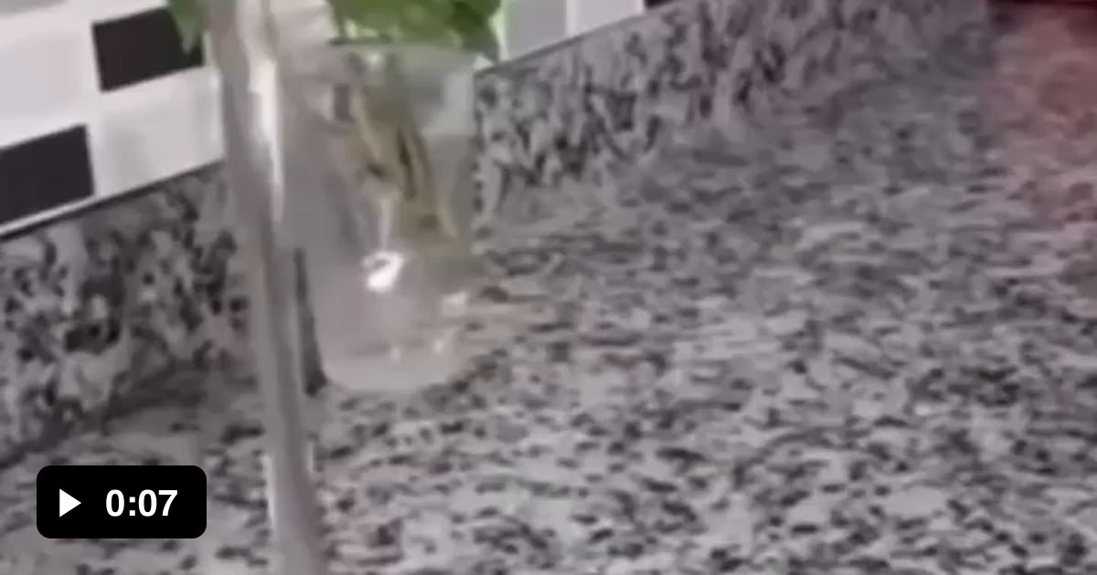 Soft vs hard water - 9GAG