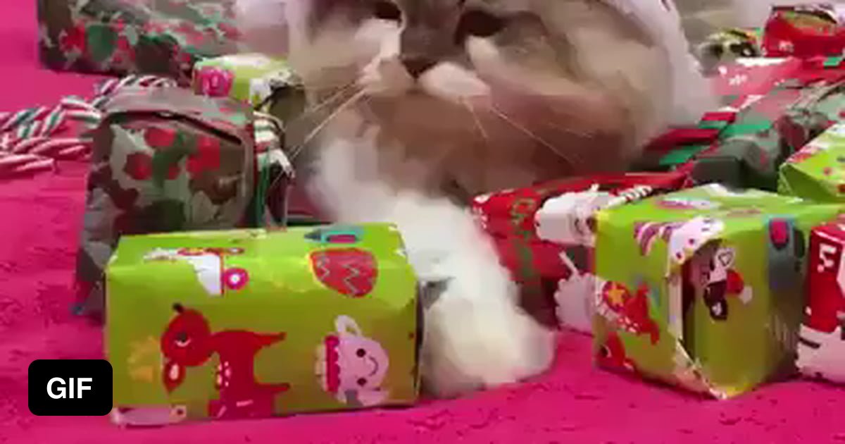 The gifts keeper - 9GAG