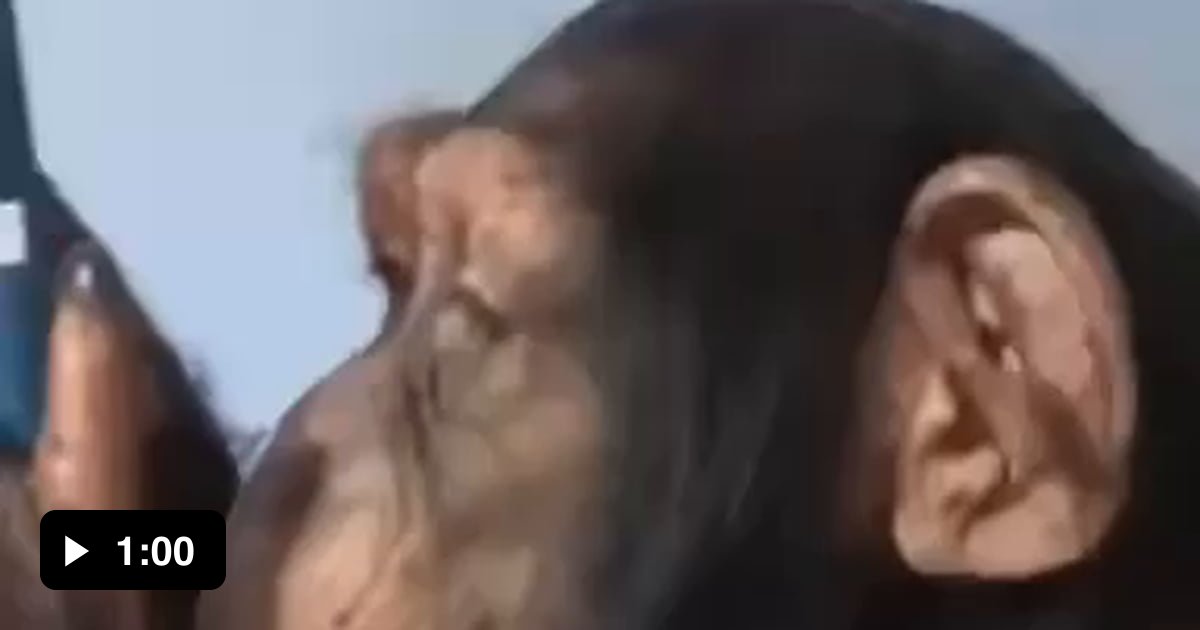 Return to monke - 9GAG