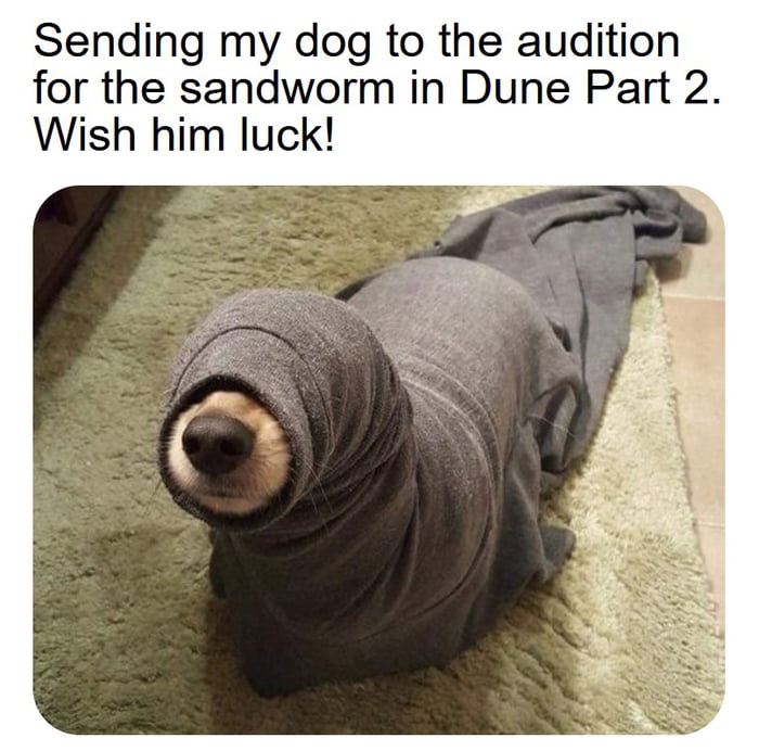 So passionate to play Shai hulud - 9GAG