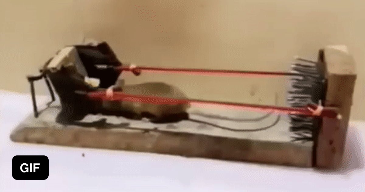 Good Mouse traps - 9GAG