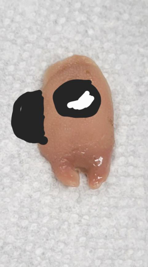 Among us tongue - 9GAG