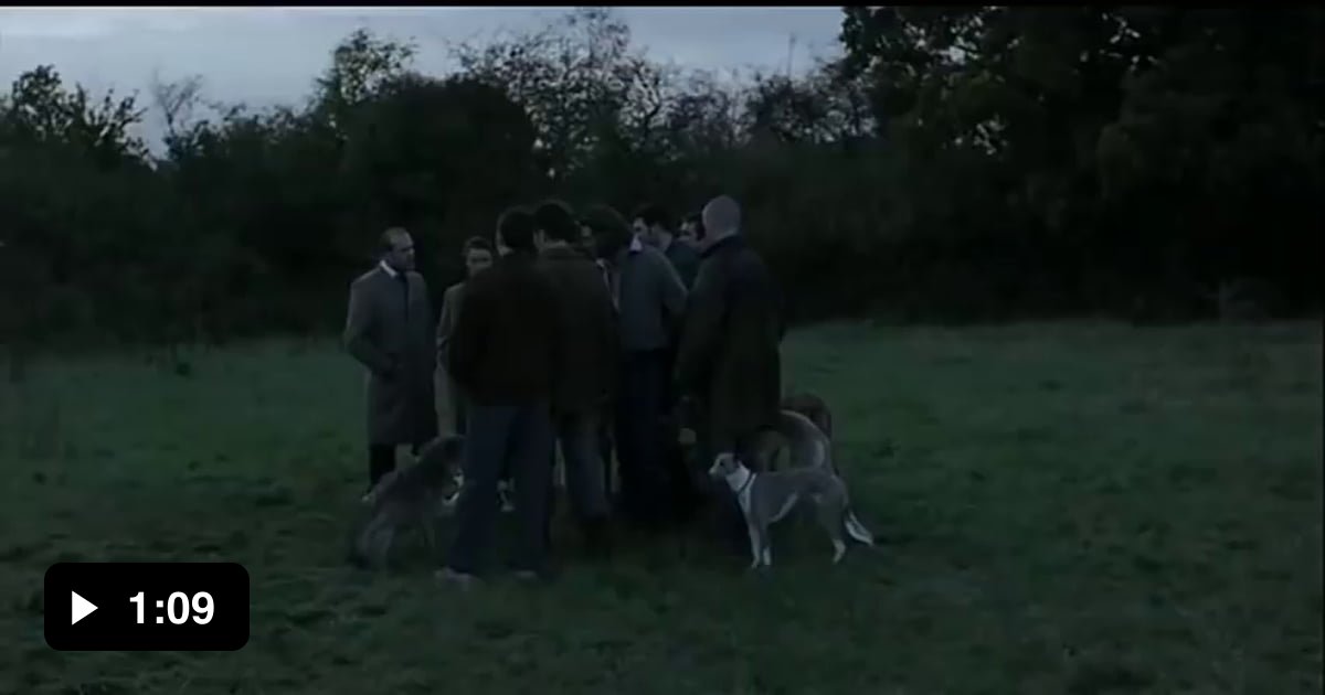 Do you like dags? - 9GAG