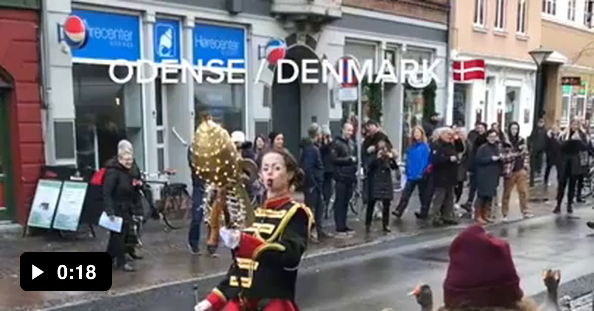 Goose parade in Denmark - 9GAG